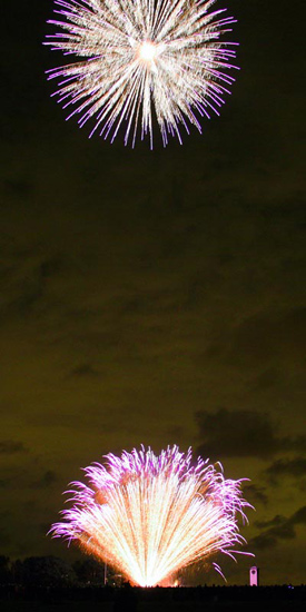 Dragon Fireworks - wedding firework displays based out of Surrey